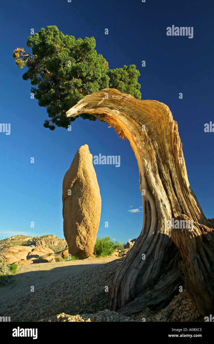 Monolithic pinnacle hi-res stock photography and images - Alamy
