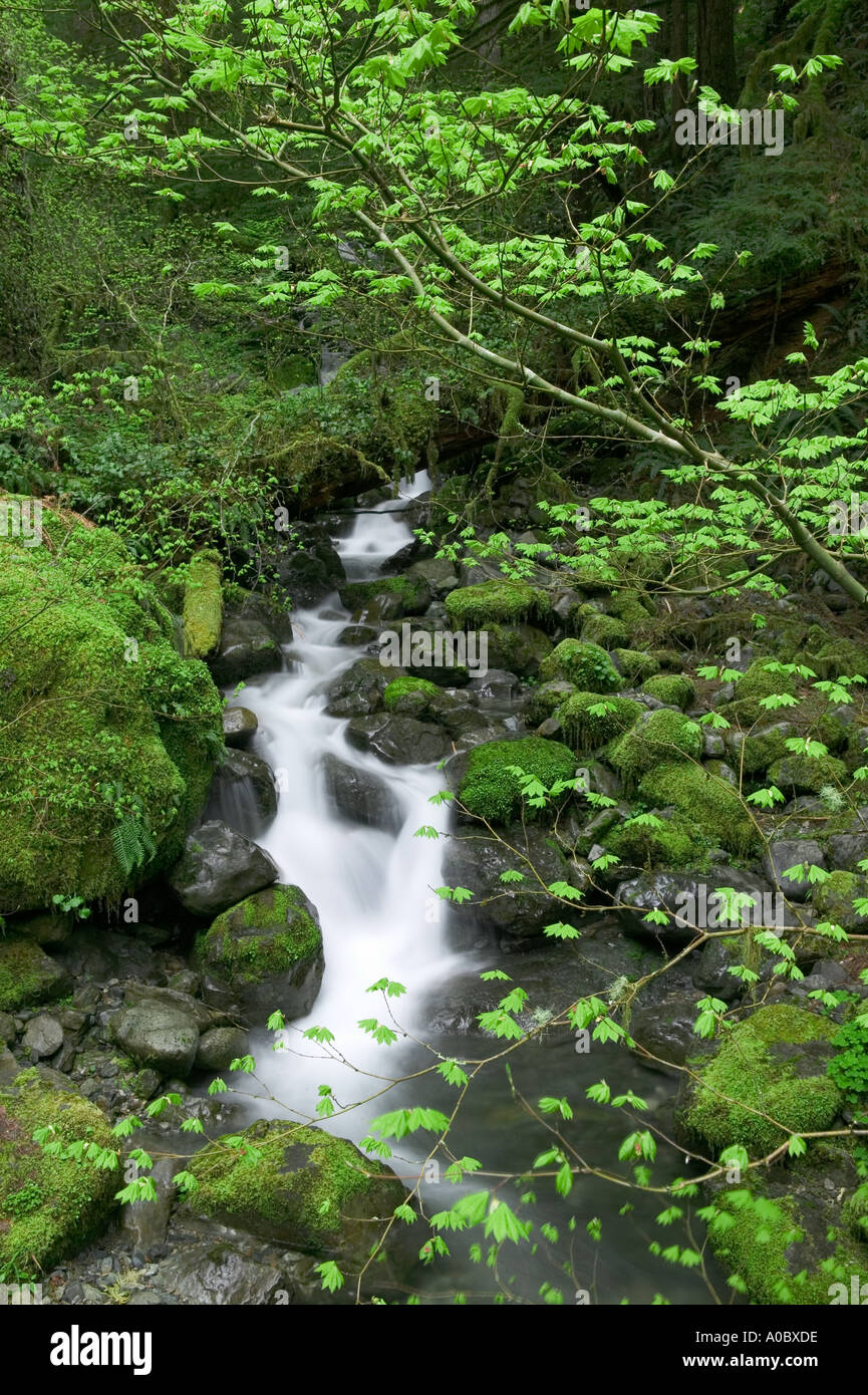 Spring rivers hi-res stock photography and images - Alamy
