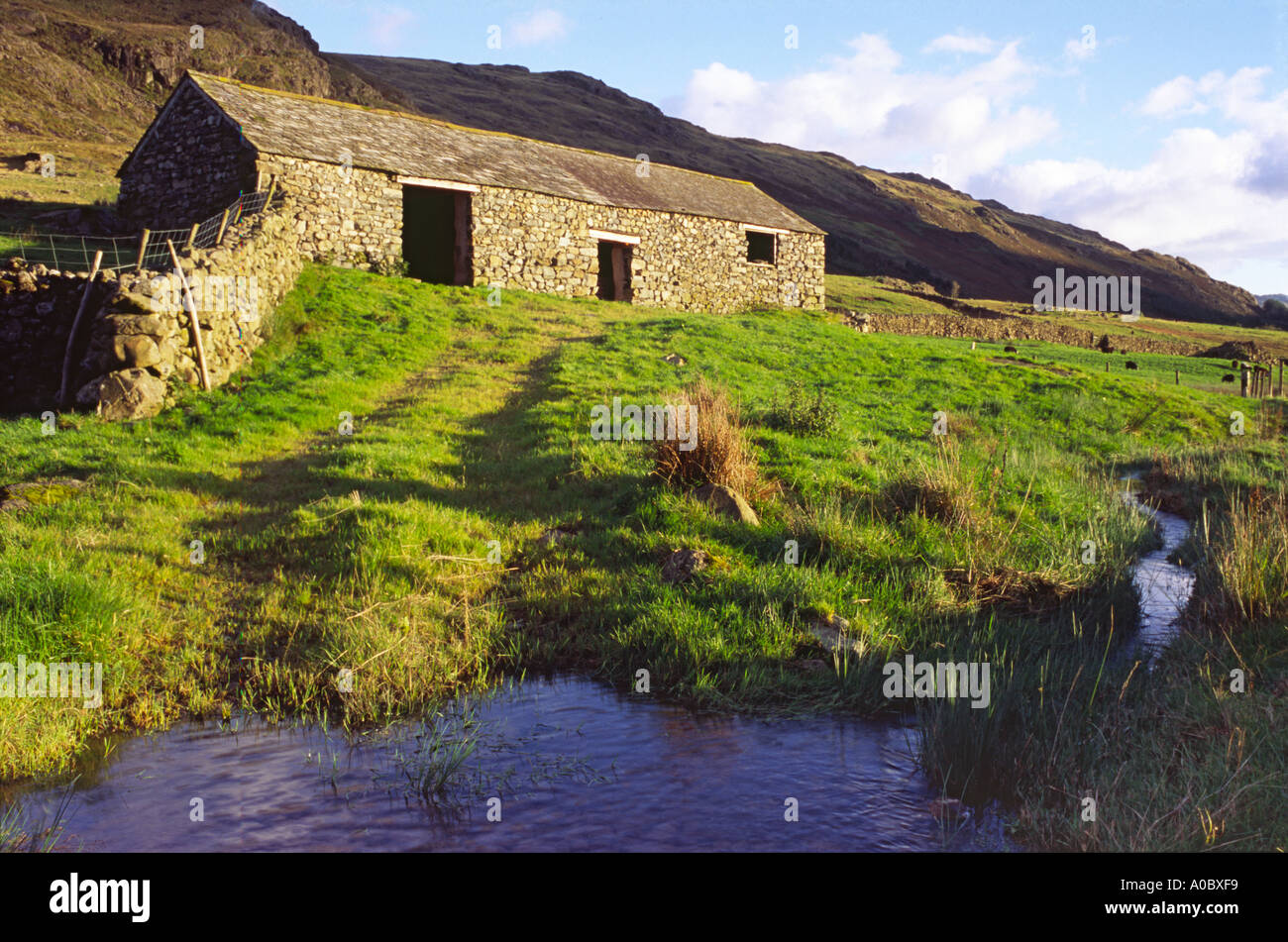 Cockley hi-res stock photography and images - Alamy