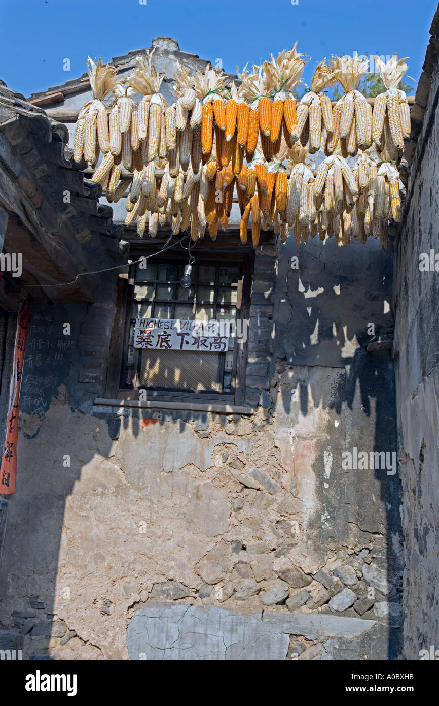 CHINA Chuandixia Ears of dried corn hanging from the roof in the ...