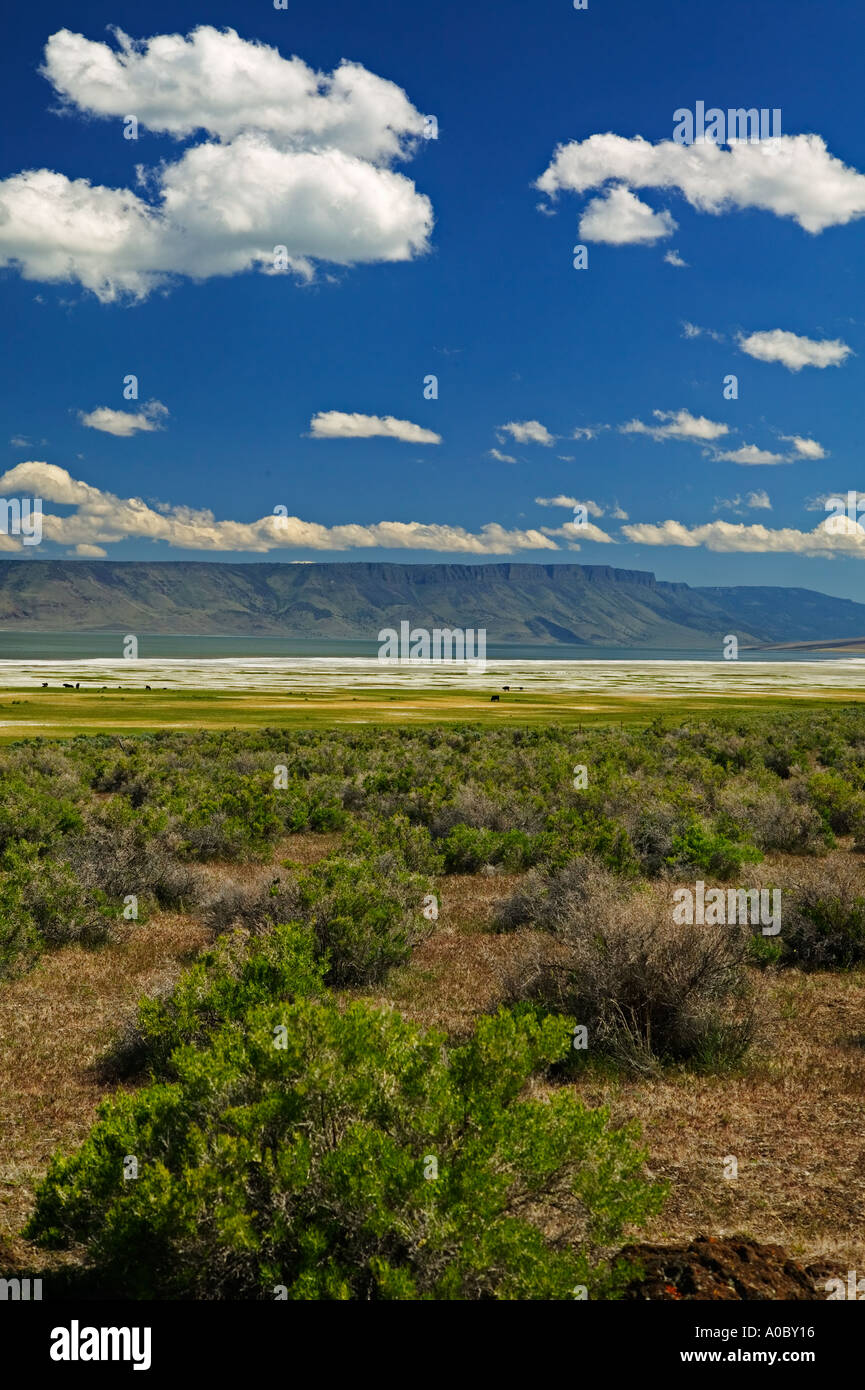 Lake abert and abert rim hi-res stock photography and images - Alamy
