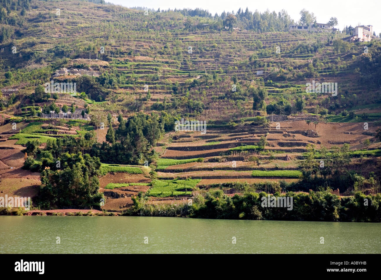 Crop rotation asia hi-res stock photography and images - Alamy