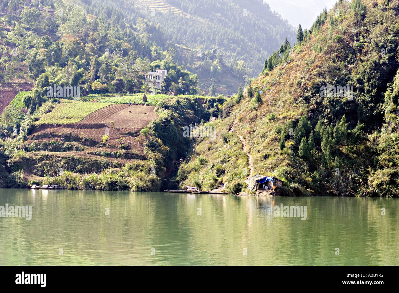 CHINA YANGTZE RIVER Chinese farm workers harvesting grain and planting ...