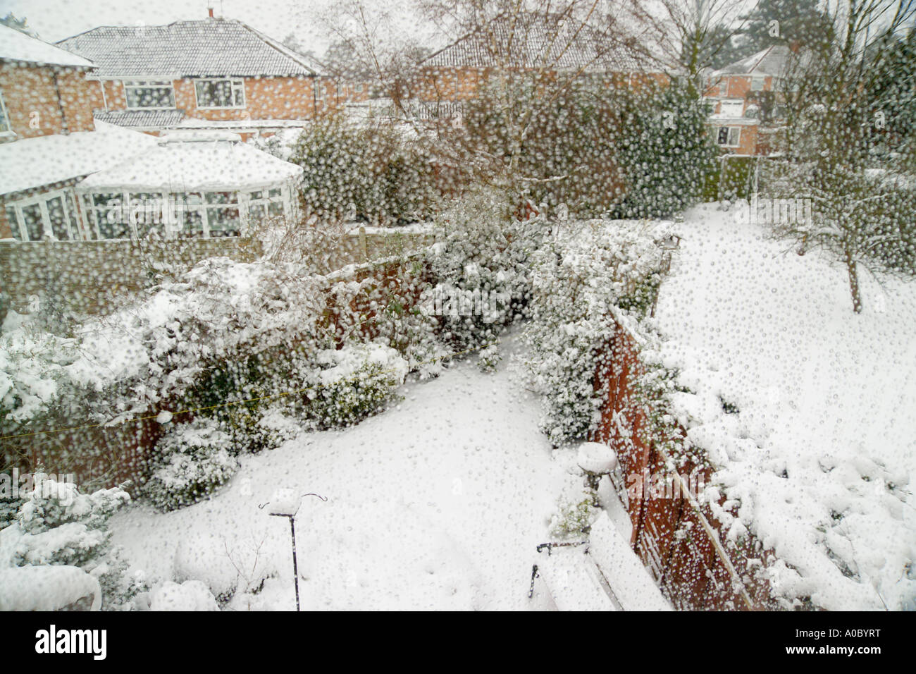 Snow falling on residential back gardens Wirral Merseyside England ...