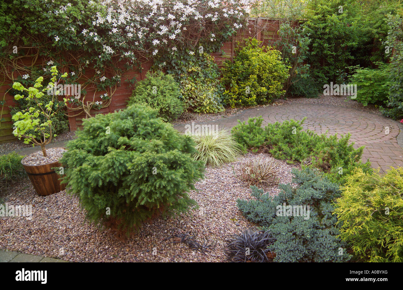 Back garden flower bed hi-res stock photography and images - Alamy