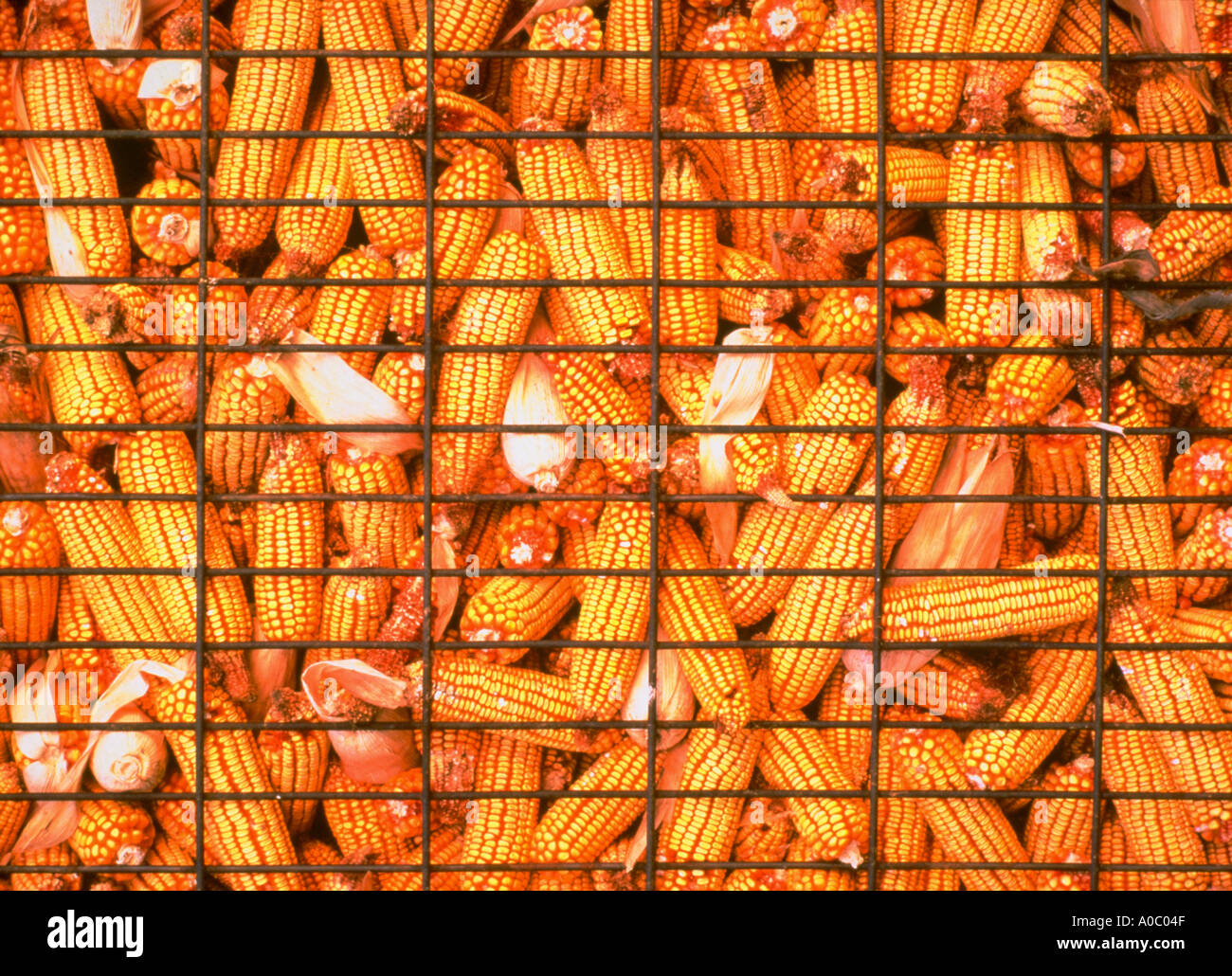 Corn crib storage farm hi-res stock photography and images - Alamy