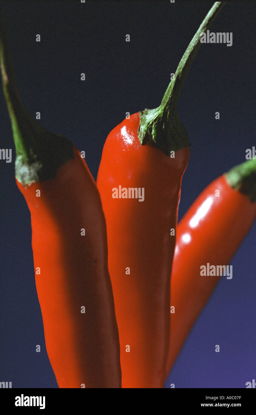 THREE RED CHILLIES Stock Photo - Alamy