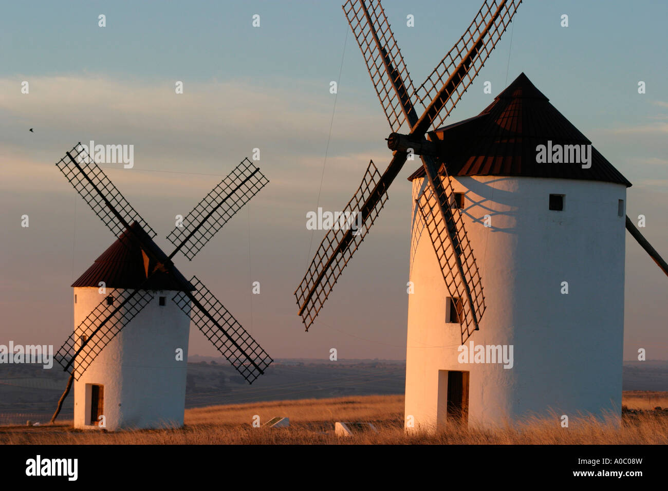 Windmills in the spanish Mota del Cuervo at dusk, Castilla-La Mancha ...