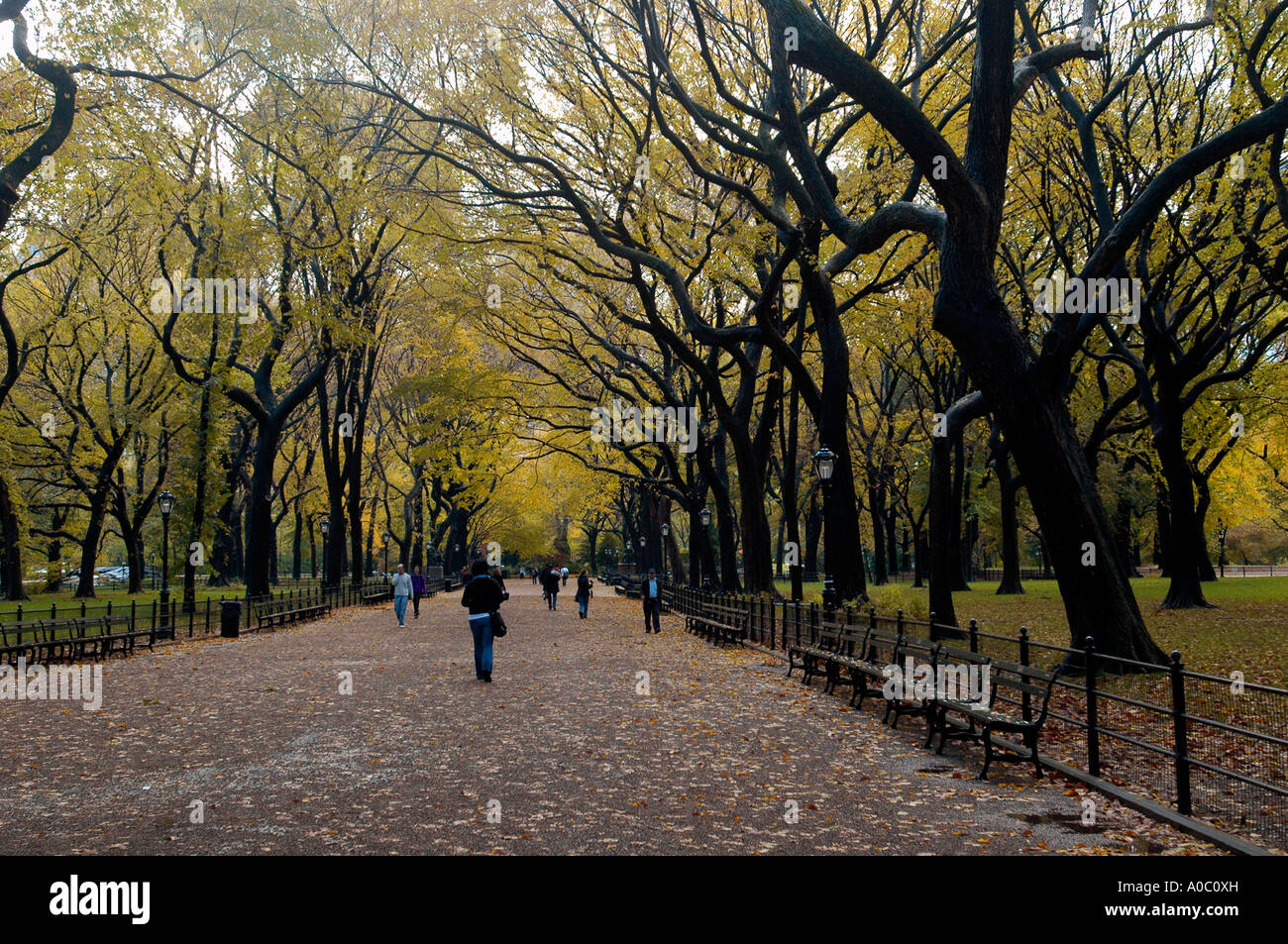 Mall literary walk central park hi-res stock photography and images - Alamy