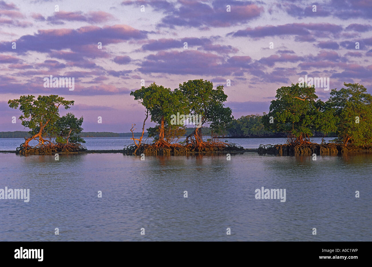 Kingston Key, Indian Key Pass at sunrise, Ten Thousand Islands area ...