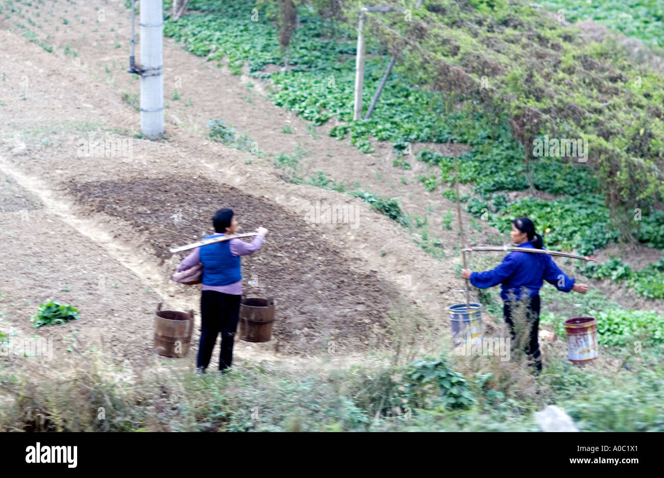Water carrying yoke hi-res stock photography and images - Alamy