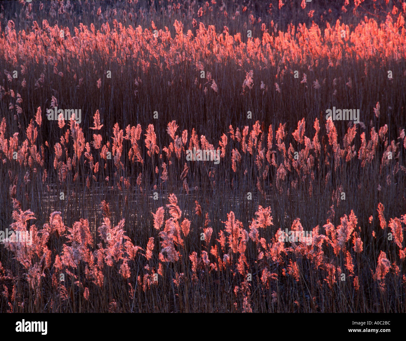 Setting sun light how hill hi-res stock photography and images - Alamy