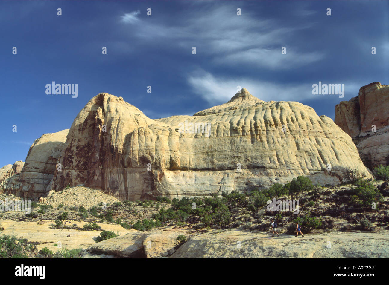 Navajo Sandstone domes over Rim Overlook Trail, Capitol Reef Nat Park ...