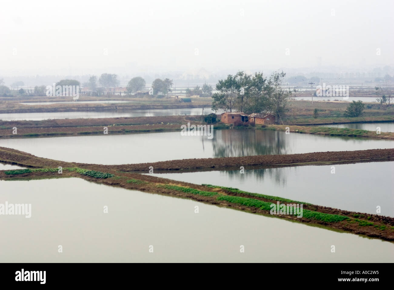 Flooded rice paddies yangtze basin hi-res stock photography and images ...