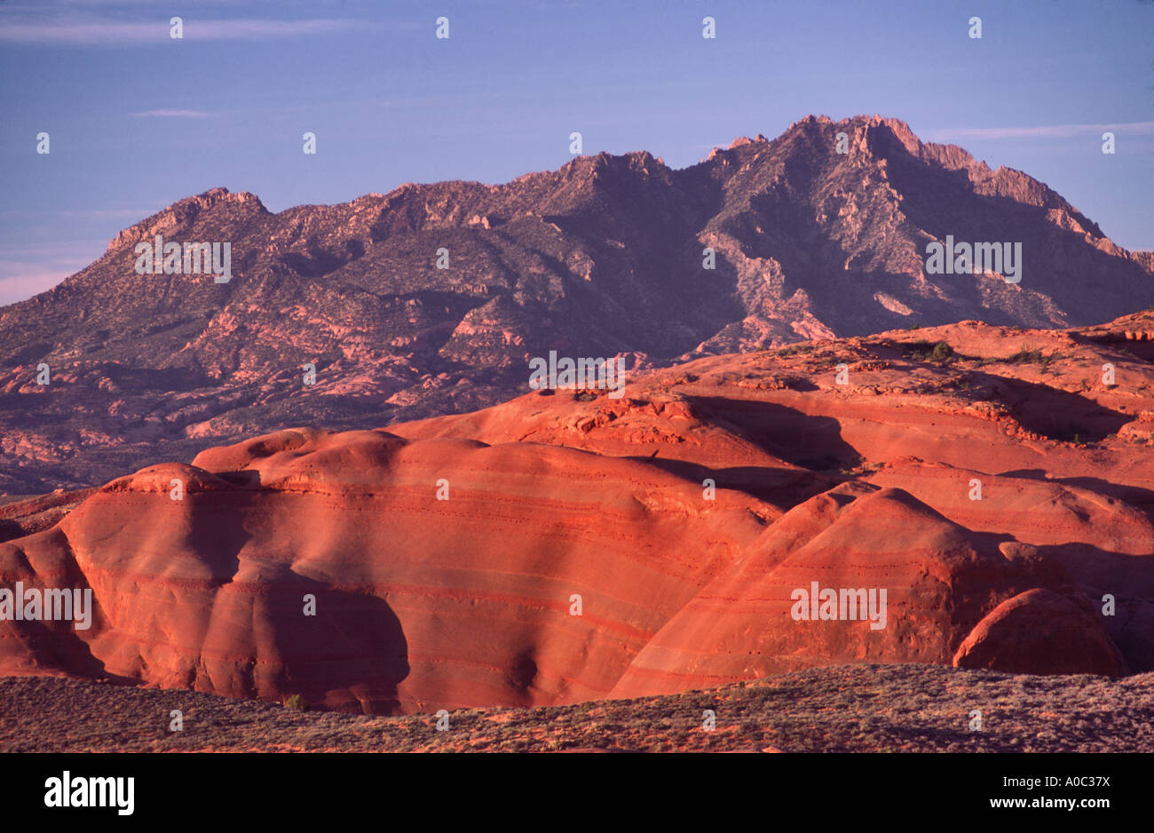 Mt Holmes, Little Rockies mountain range, Lake Powell area, Utah, USA ...