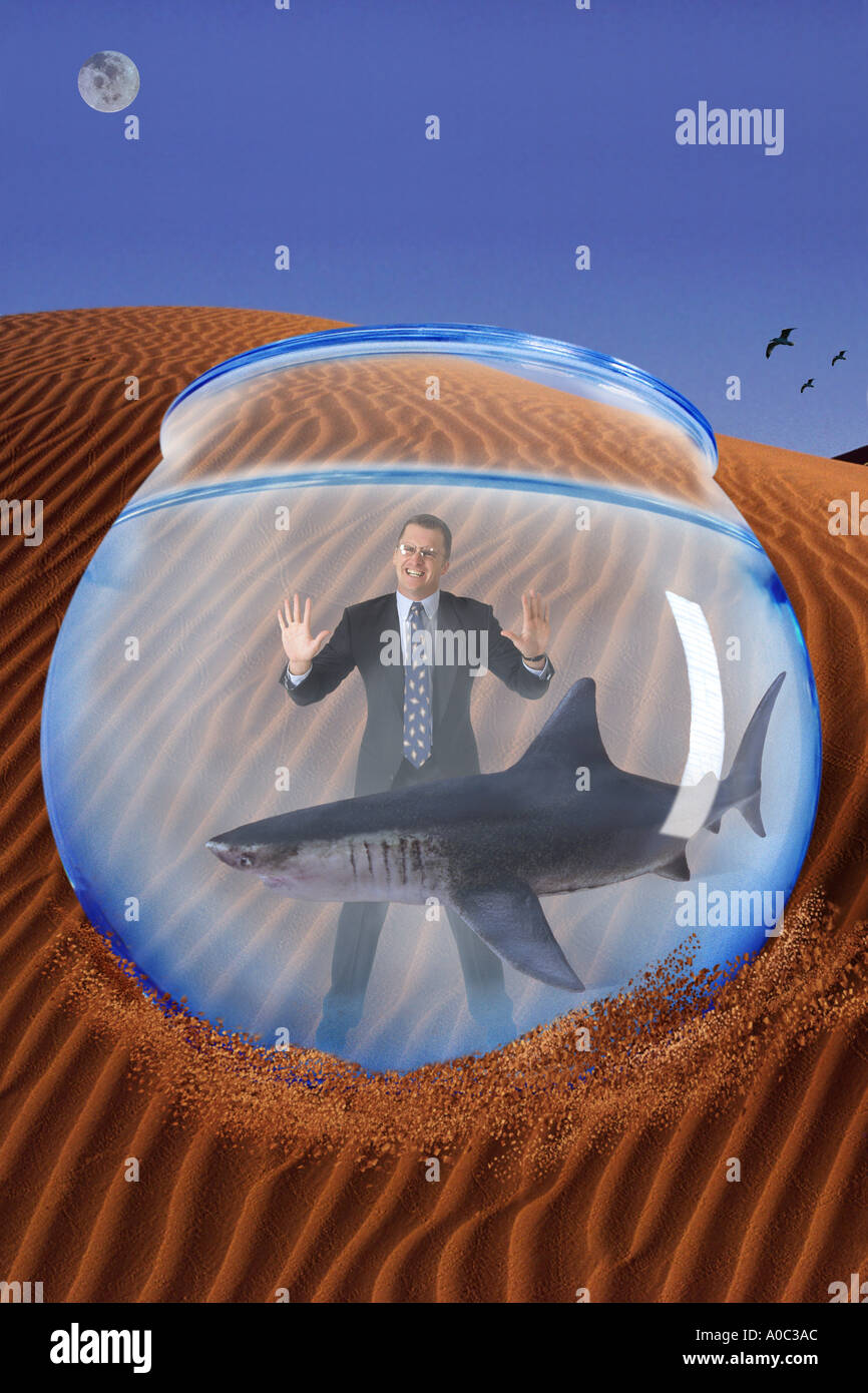 Plight peril predicament dilemma distraught hi-res stock photography ...