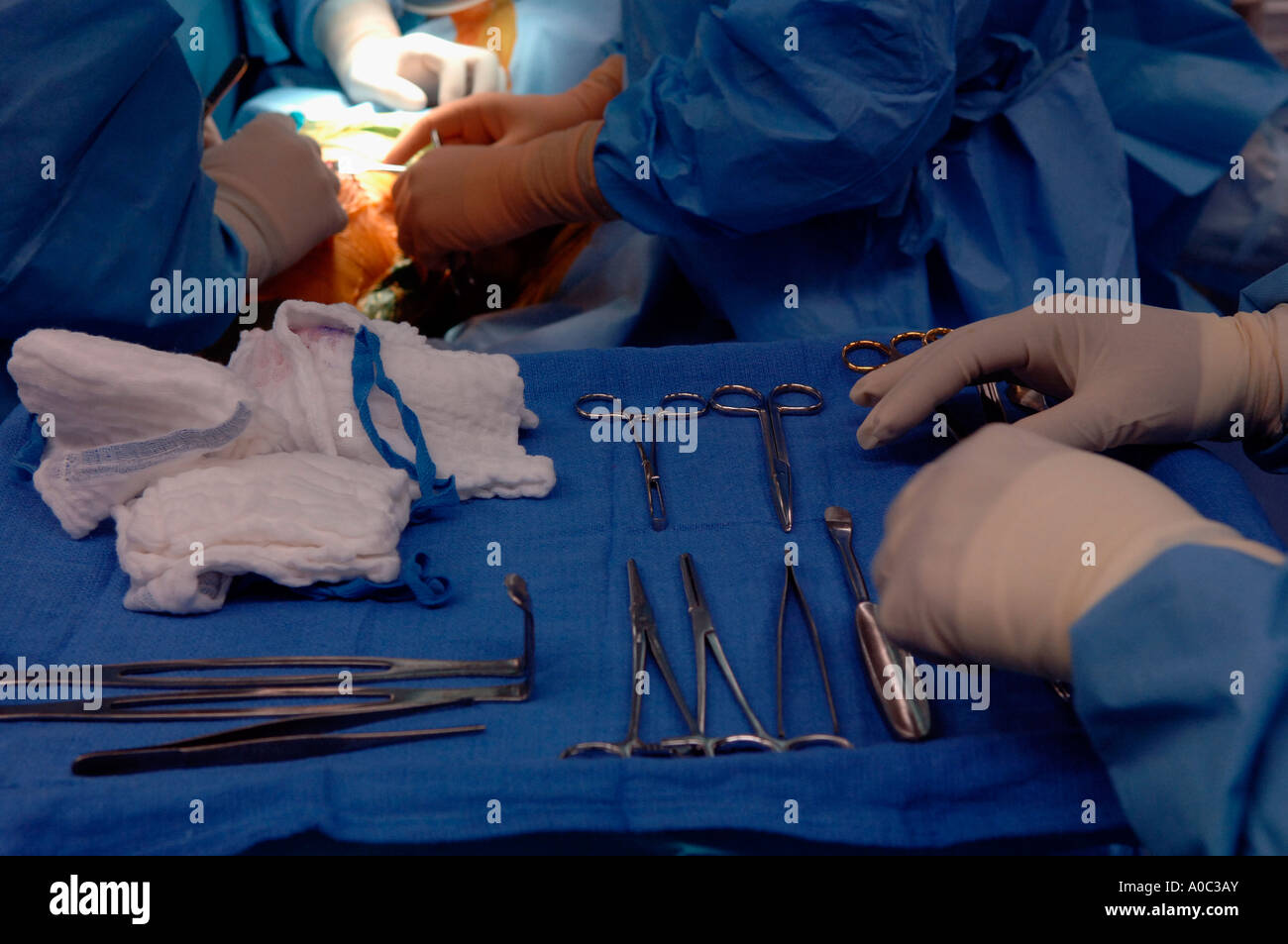 Total right knee replacement operation using a gender specific ...
