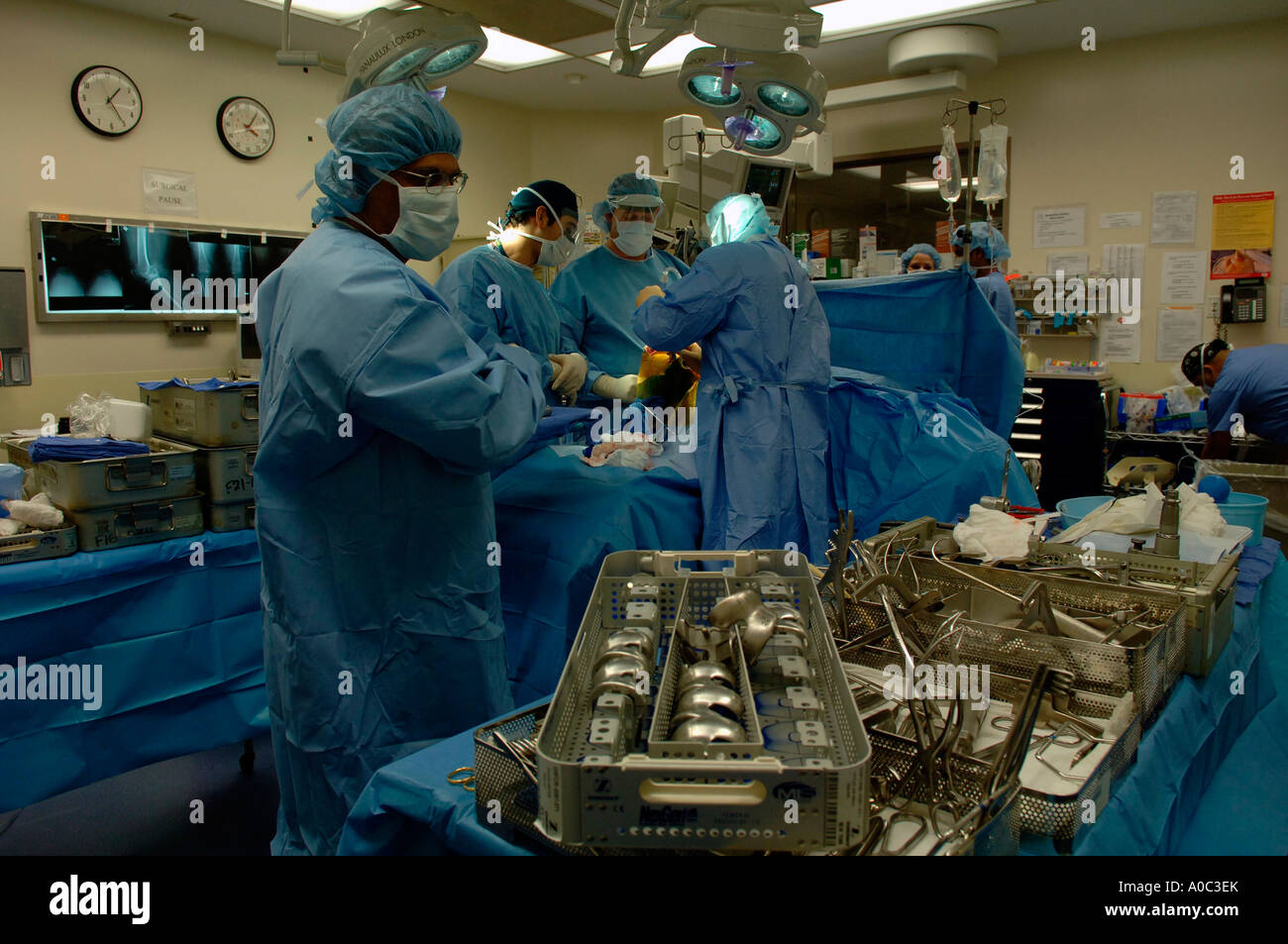 Total right knee replacement operation using a gender specific ...