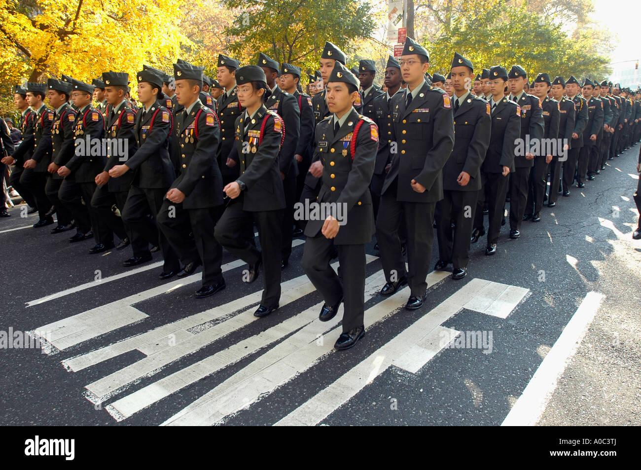 Junior ROTC students from Fort Hamilton High School in Brooklyn NYC ...