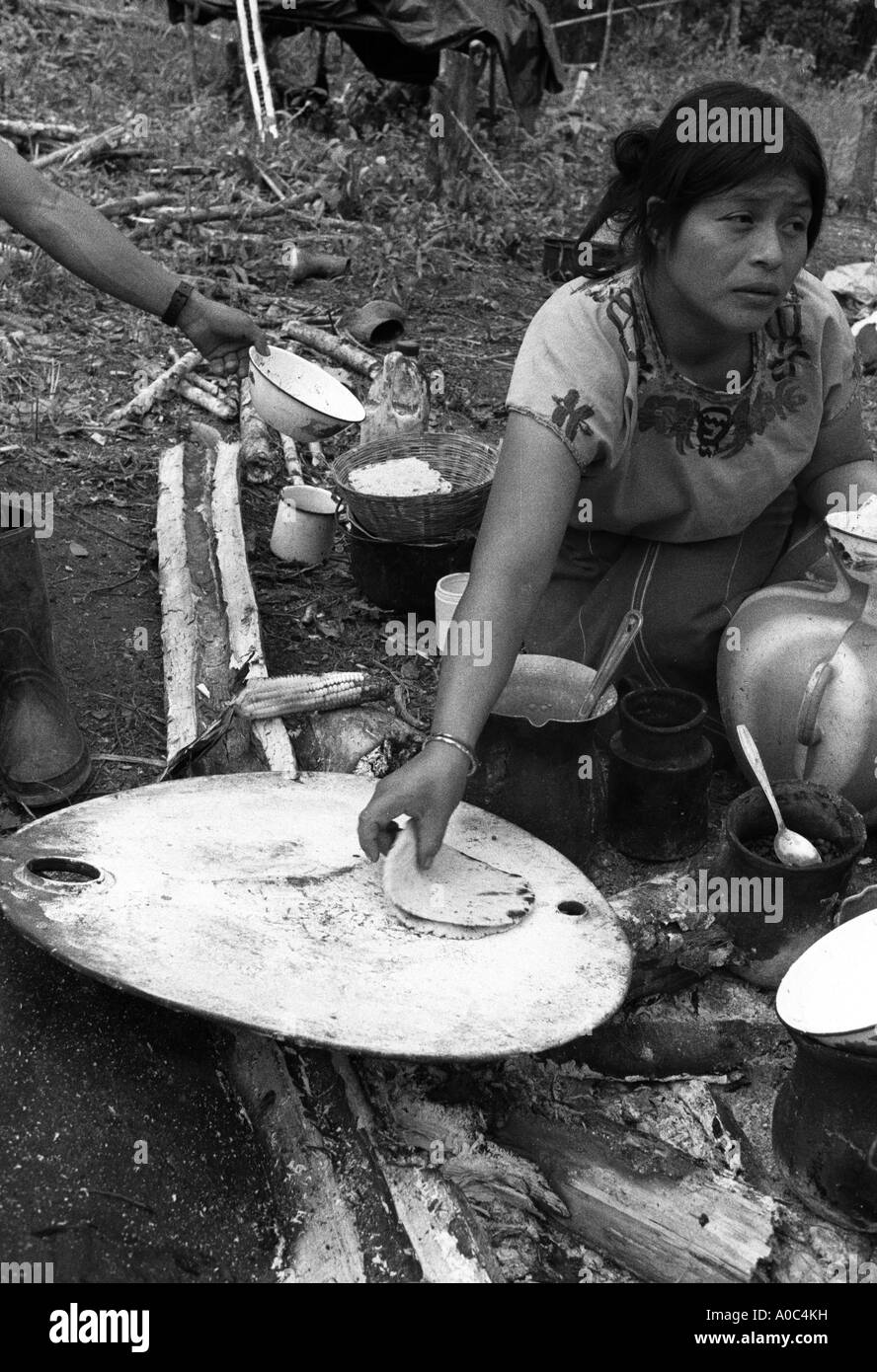 Stock image of a Mayan woman cooking tortillas on the bottom of an oil ...