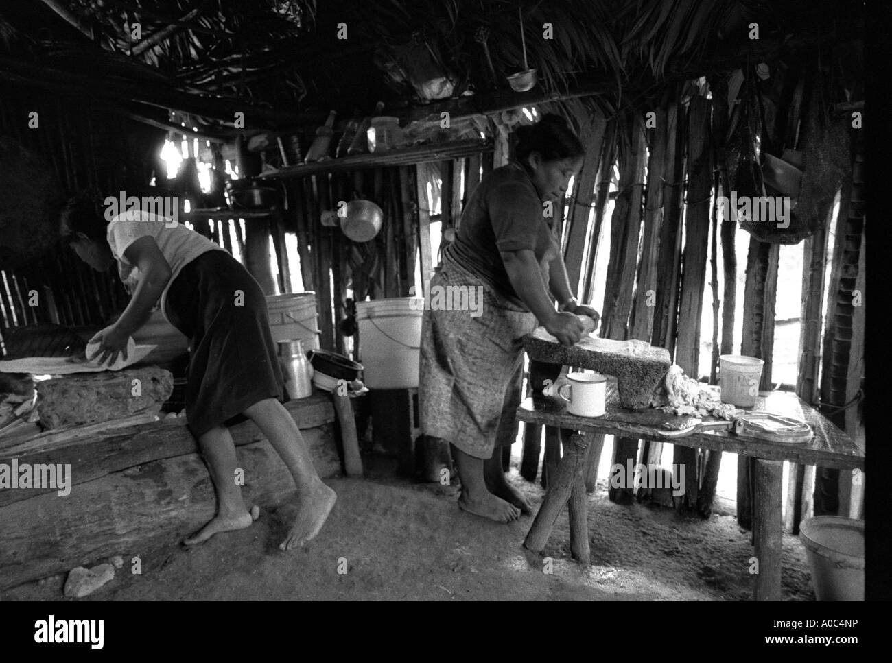 Stock image of two Mayan Women cooking barefoot in their Ixcan Jungle ...