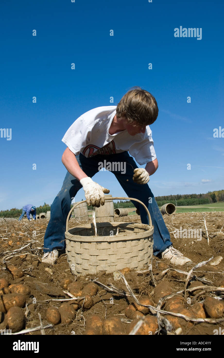 Annual student students hi-res stock photography and images - Alamy
