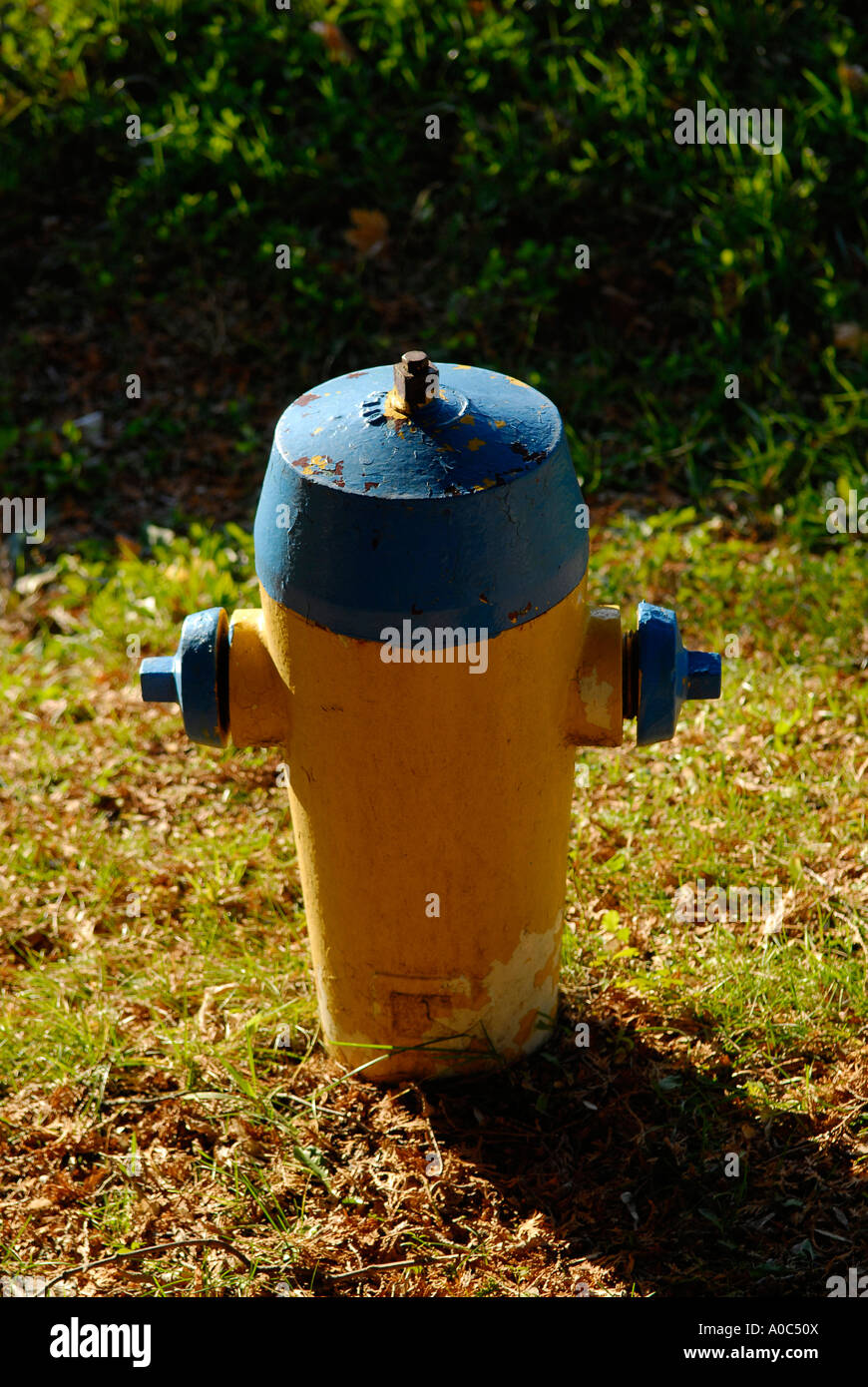 Stock image of a fire hydrant in Southern Ontario Stock Photo - Alamy