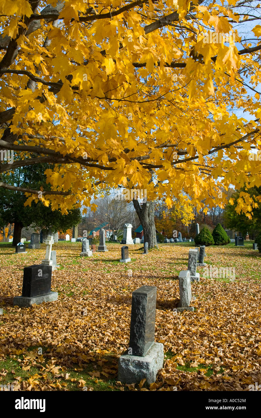 Stock image of a cemetery with fall foliage colours Stock Photo - Alamy