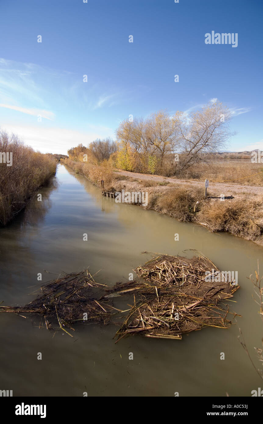 Bosque del apache and irrigation hi-res stock photography and images ...