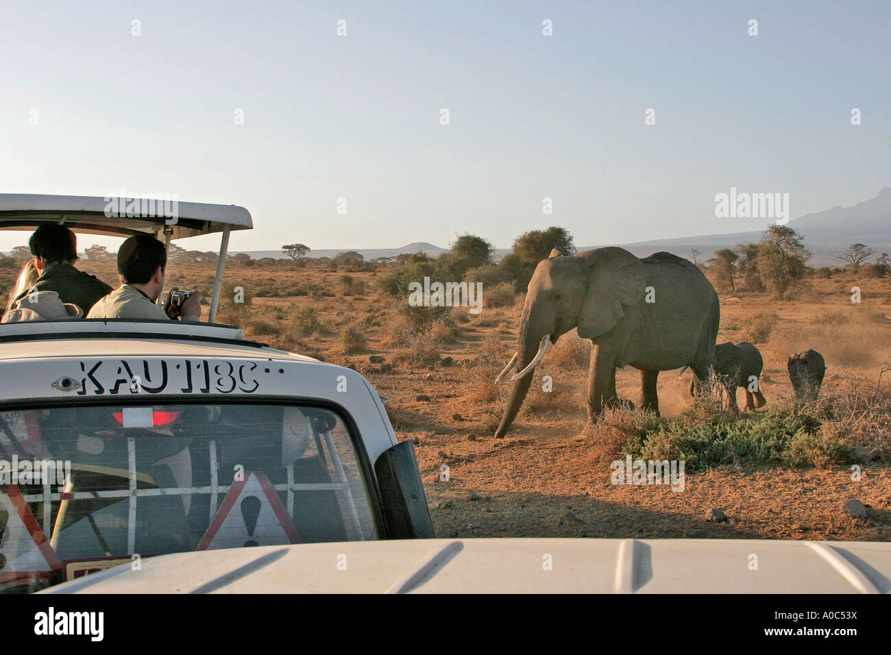 Watching elephants from safari van in Africa Stock Photo - Alamy