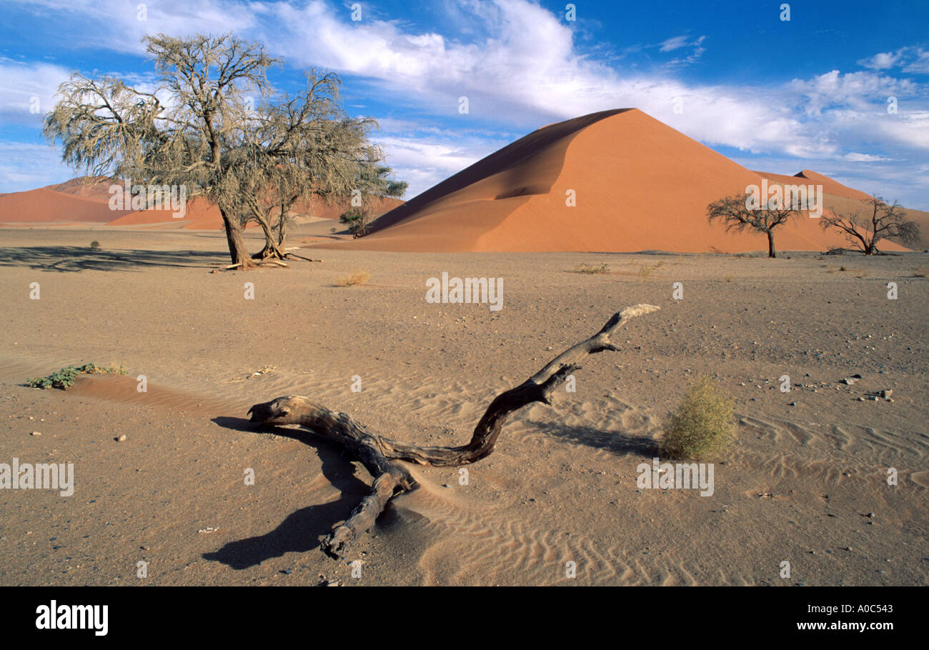 Desert in Namibia Stock Photo - Alamy
