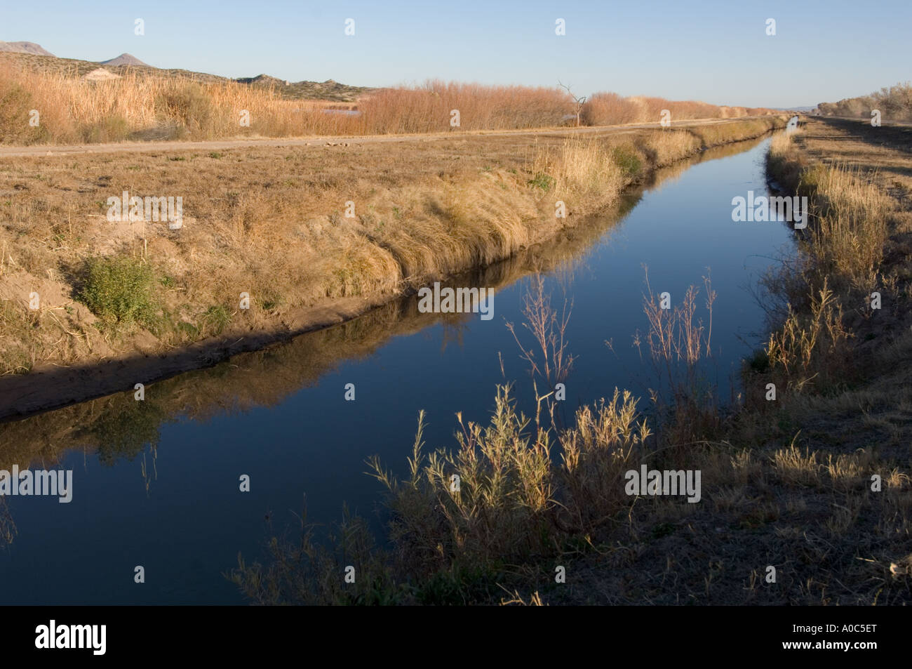 Bosque del Apache - New Mexico - USA One of the Reserve irrigation ...