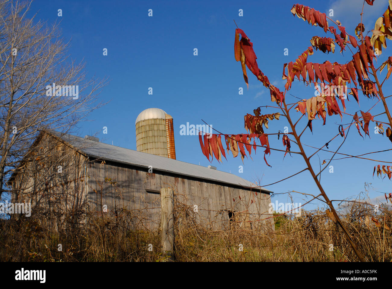 Stock image of an old weathered wooden barn in southern Ontario Canada ...