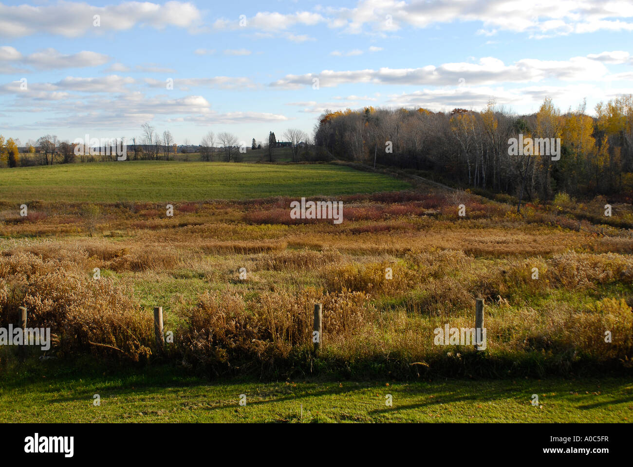 Farm in southern ontario in hi-res stock photography and images - Alamy