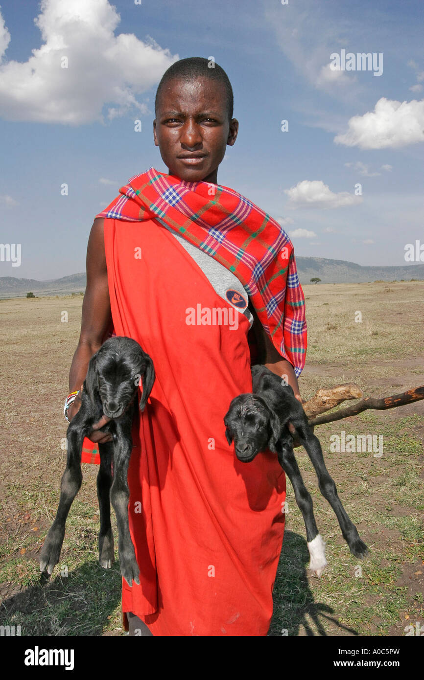 Buy goat hi-res stock photography and images - Alamy