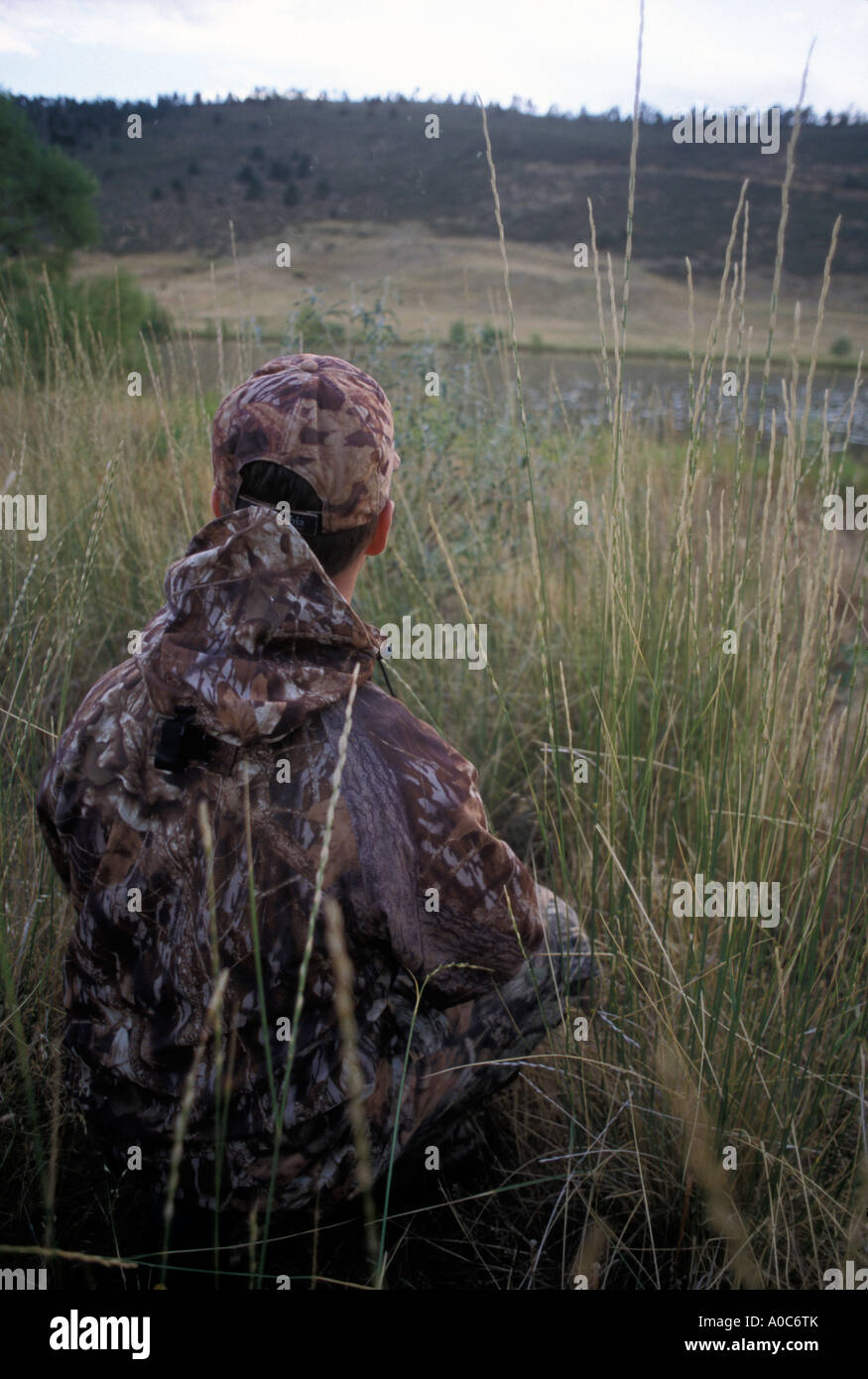 Hunter in grass hi-res stock photography and images - Alamy