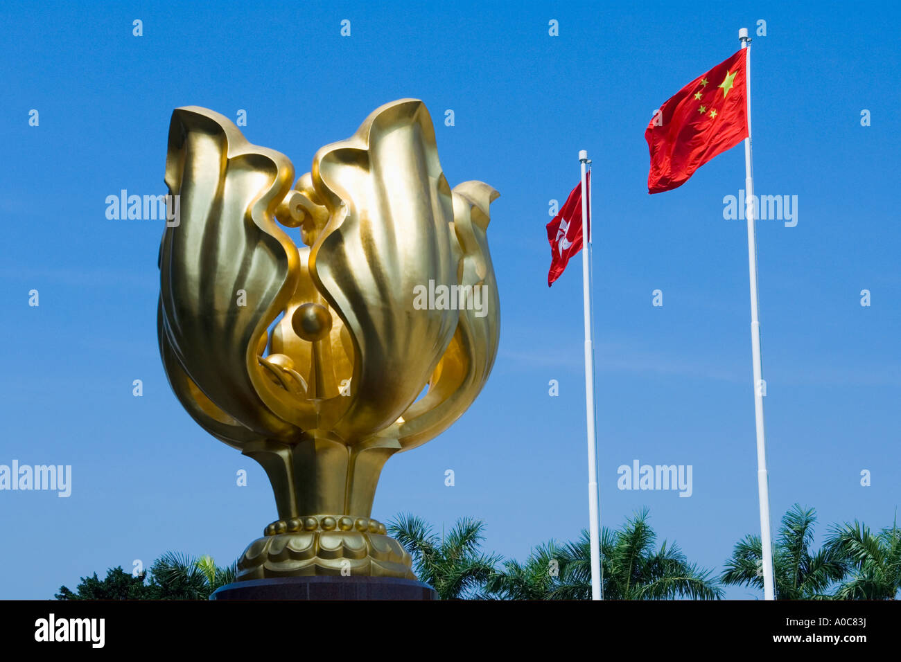 Symbol Flower bauhinia of Hong Kong and Flags Stock Photo - Alamy