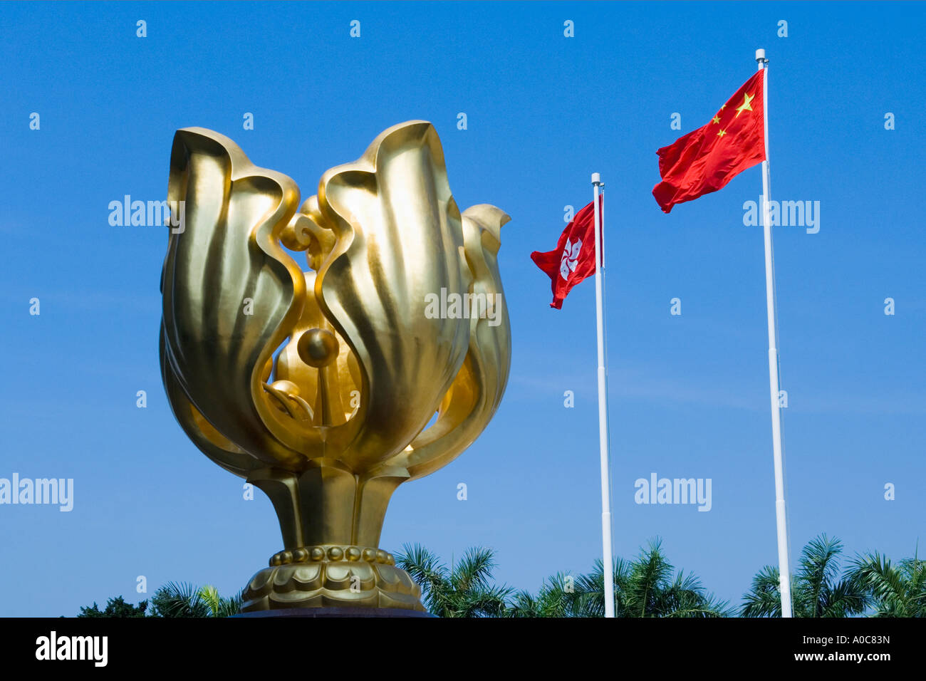 Symbol Flower bauhinia of Hong Kong and Flags Stock Photo - Alamy