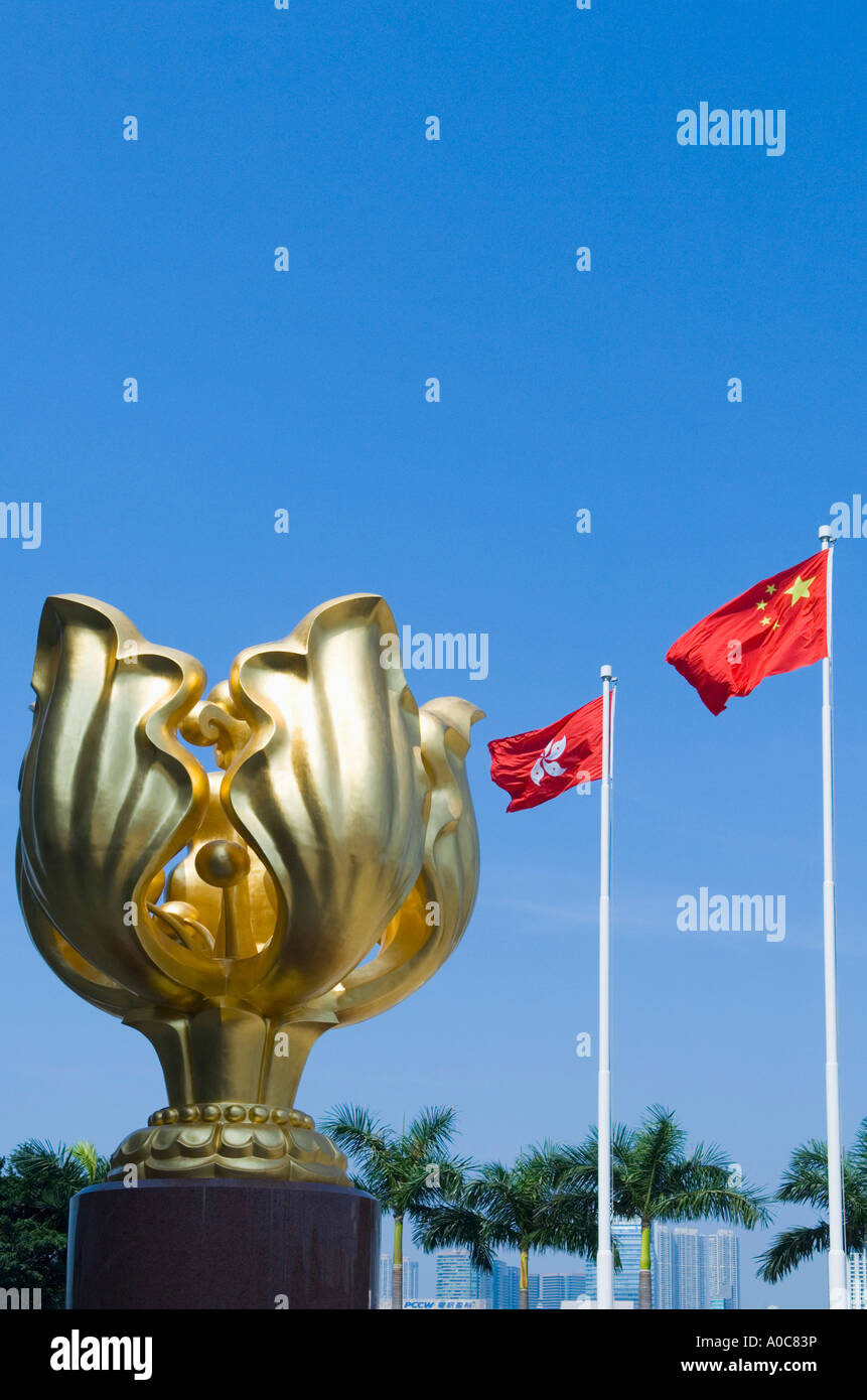 Symbol Flower bauhinia of Hong Kong and Flags Stock Photo - Alamy