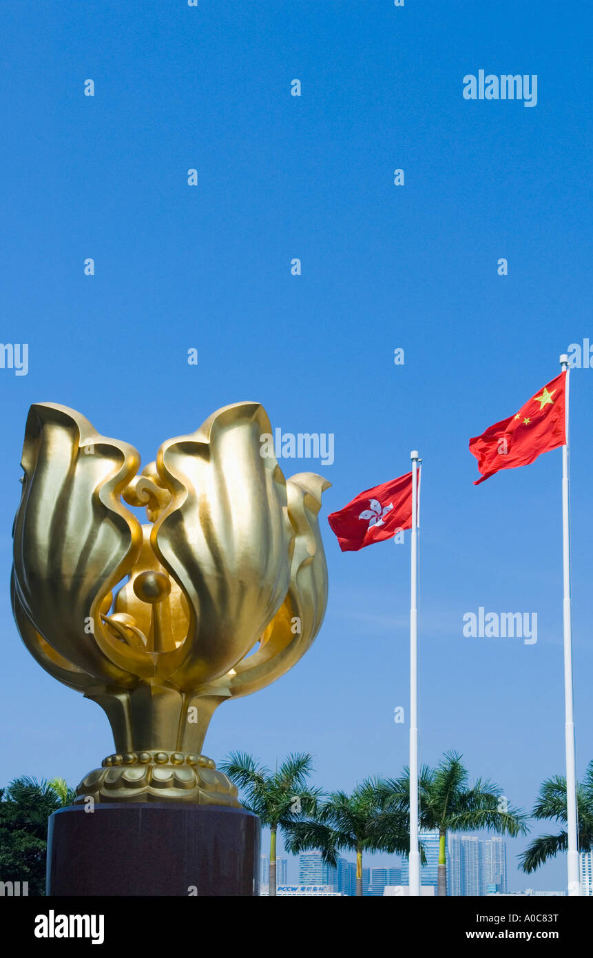 Symbol Flower bauhinia of Hong Kong and Flags Stock Photo - Alamy