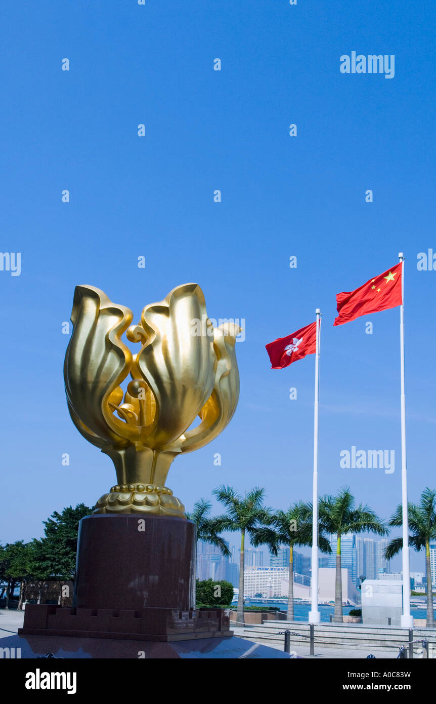 Symbol Flower bauhinia of Hong Kong and Flags Stock Photo - Alamy