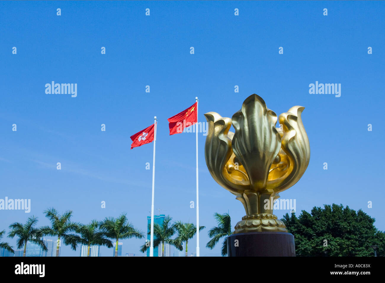Symbol Flower bauhinia of Hong Kong and Flags Stock Photo - Alamy