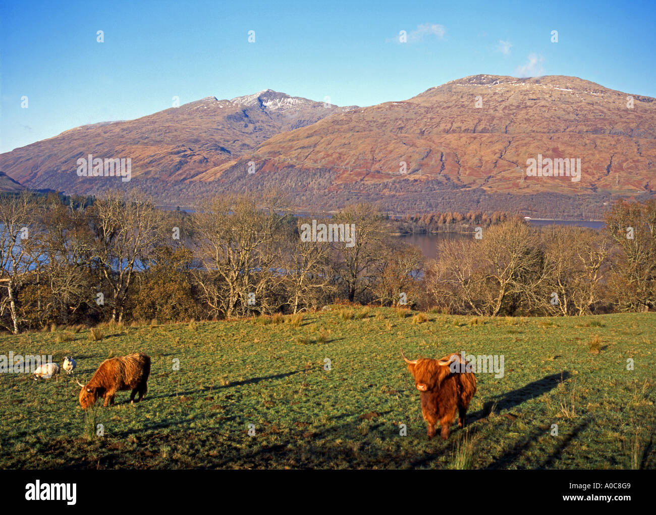 Scottish hydro scheme hi-res stock photography and images - Alamy