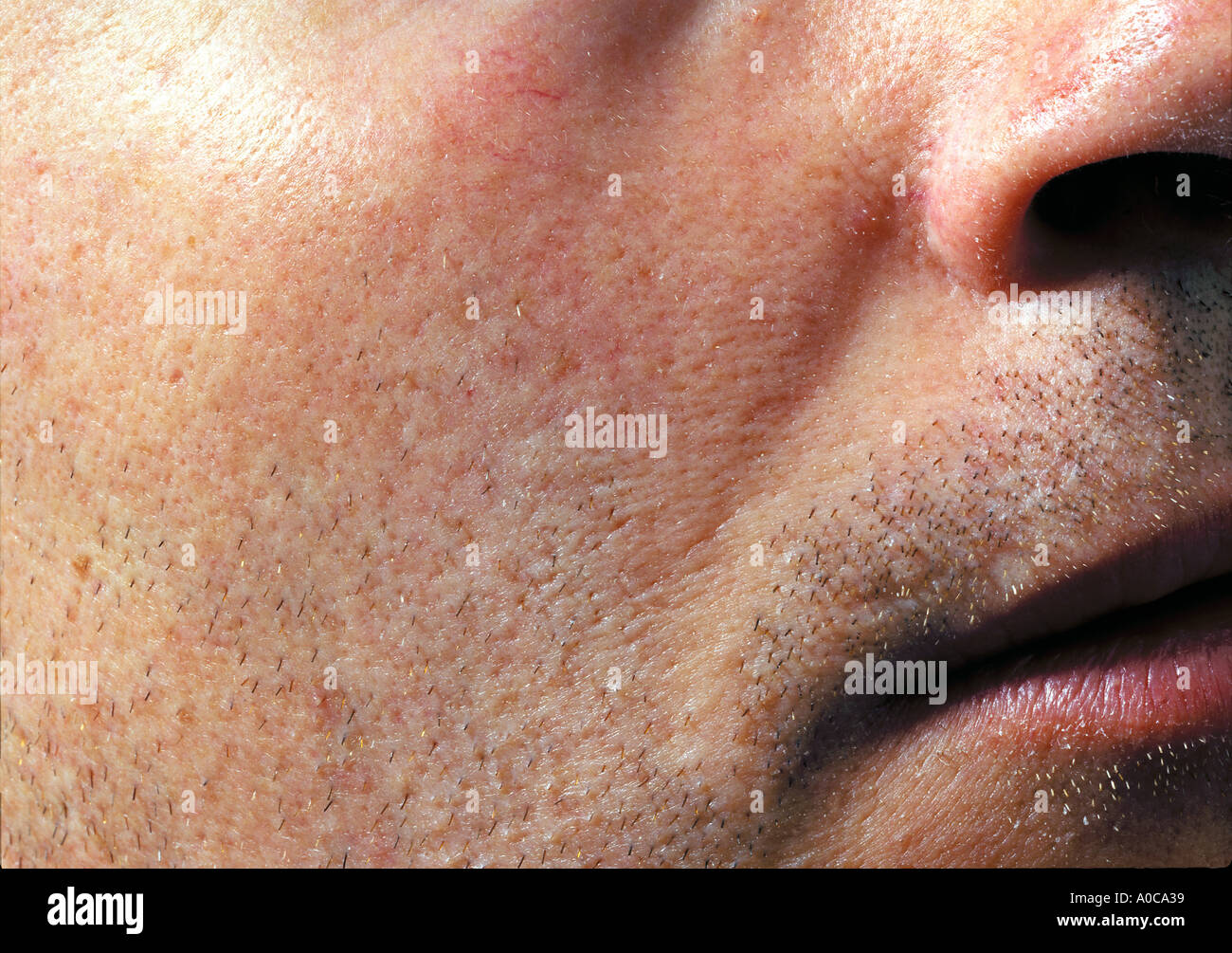 MAN FACE SKIN Pores Beard Stubble Folds Rough Complexion Features Stock MAN FACE SKIN Pores Beard Stubble Folds Rough Complexion Features Stock