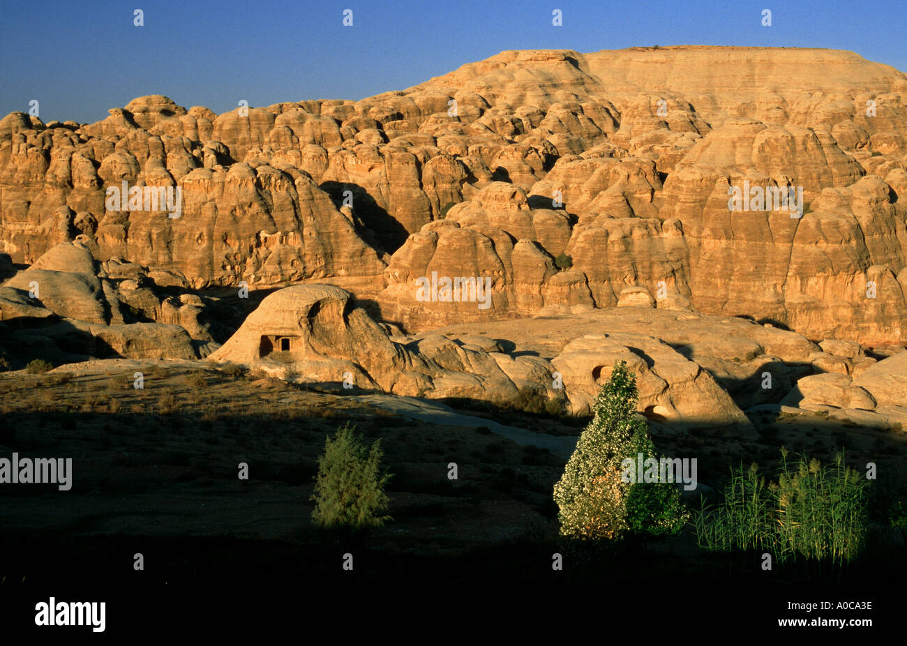 PETRA rose red rose red city most famous attraction in JORDAN Nabataean ...