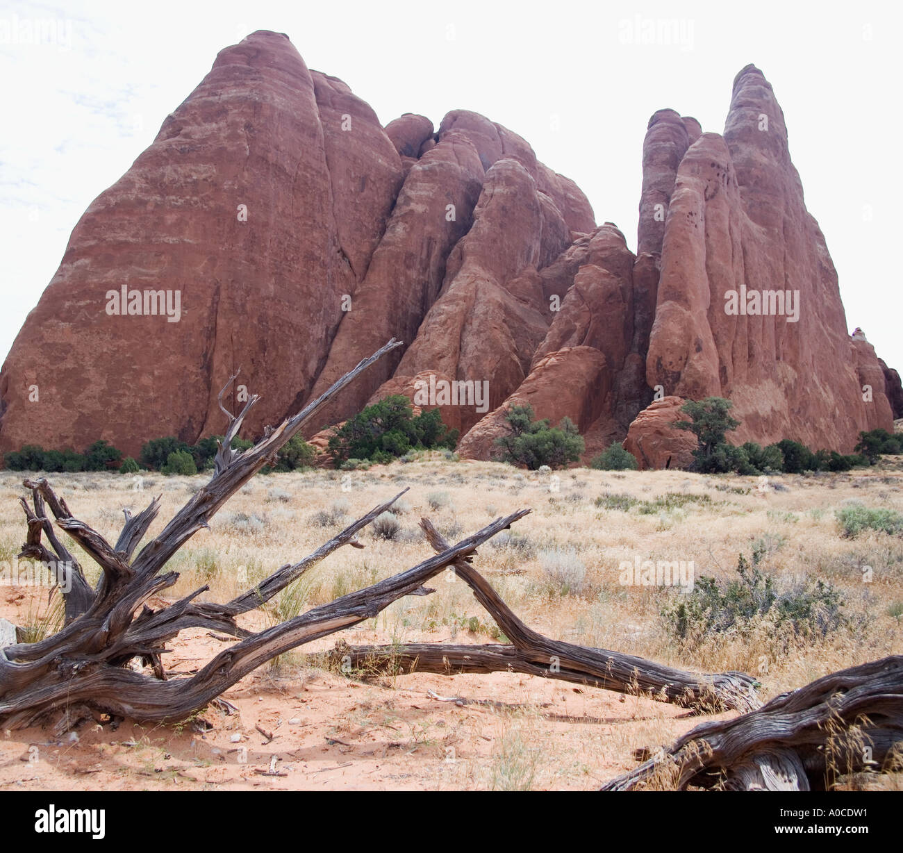Usa utah moab arches hi-res stock photography and images - Alamy