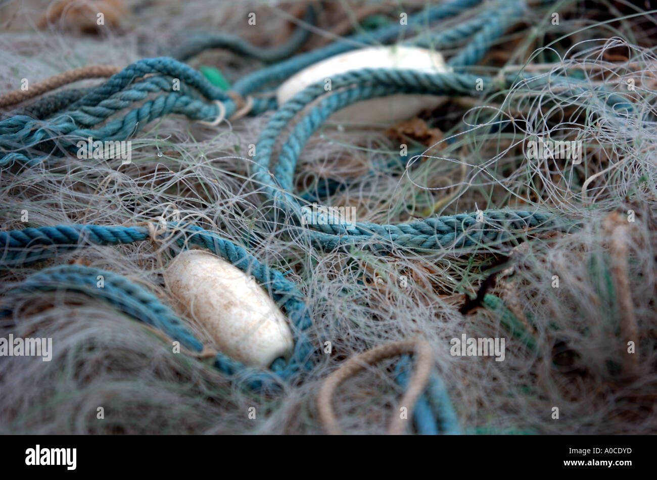 Fishing art hi-res stock photography and images - Alamy