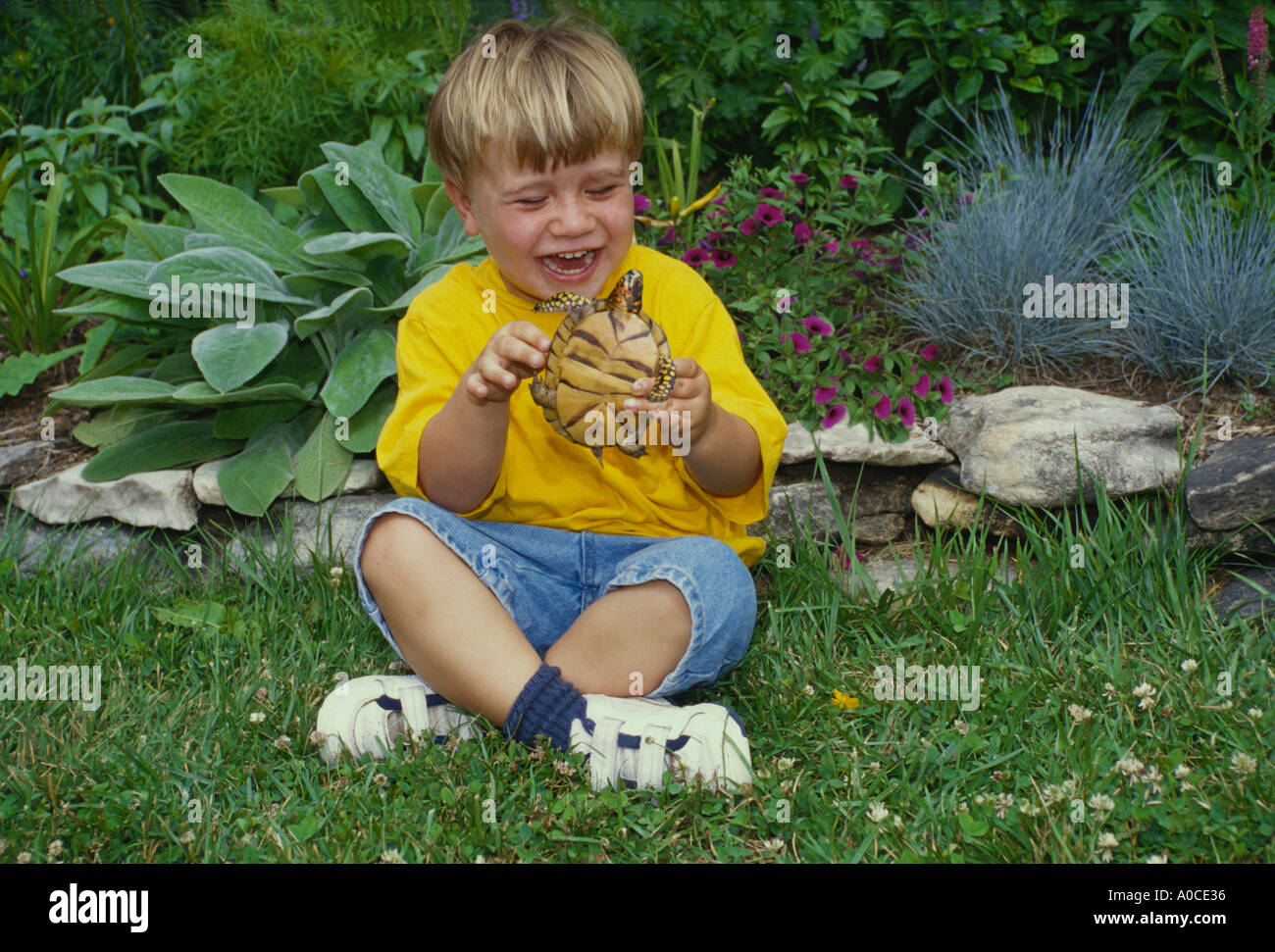 Learning with fun: A tow-headed boy sitting in backyard garden delights ...