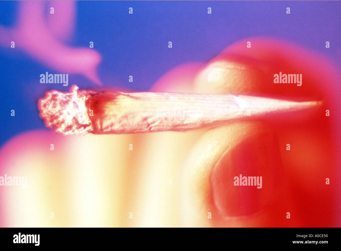 smoking a marijuana cigarette Stock Photo - Alamy