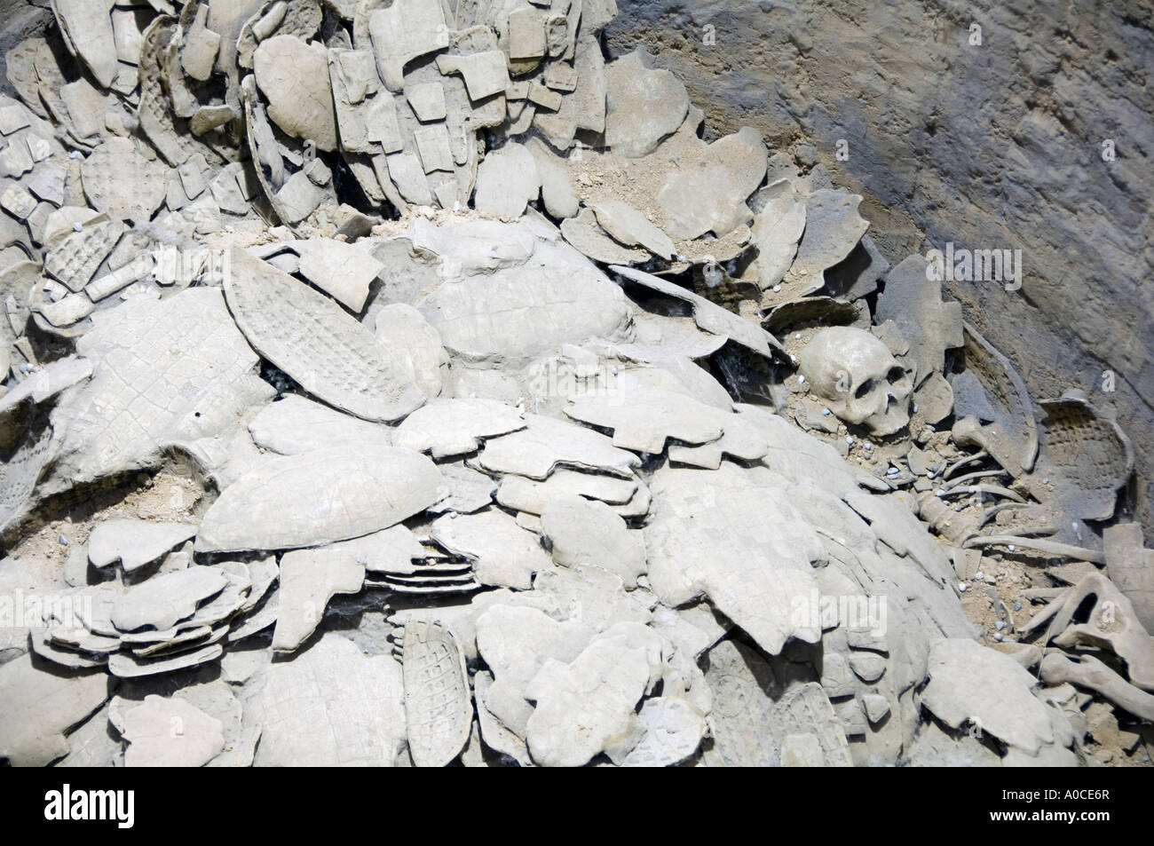 Shang dynasty oracle bone hi-res stock photography and images - Alamy